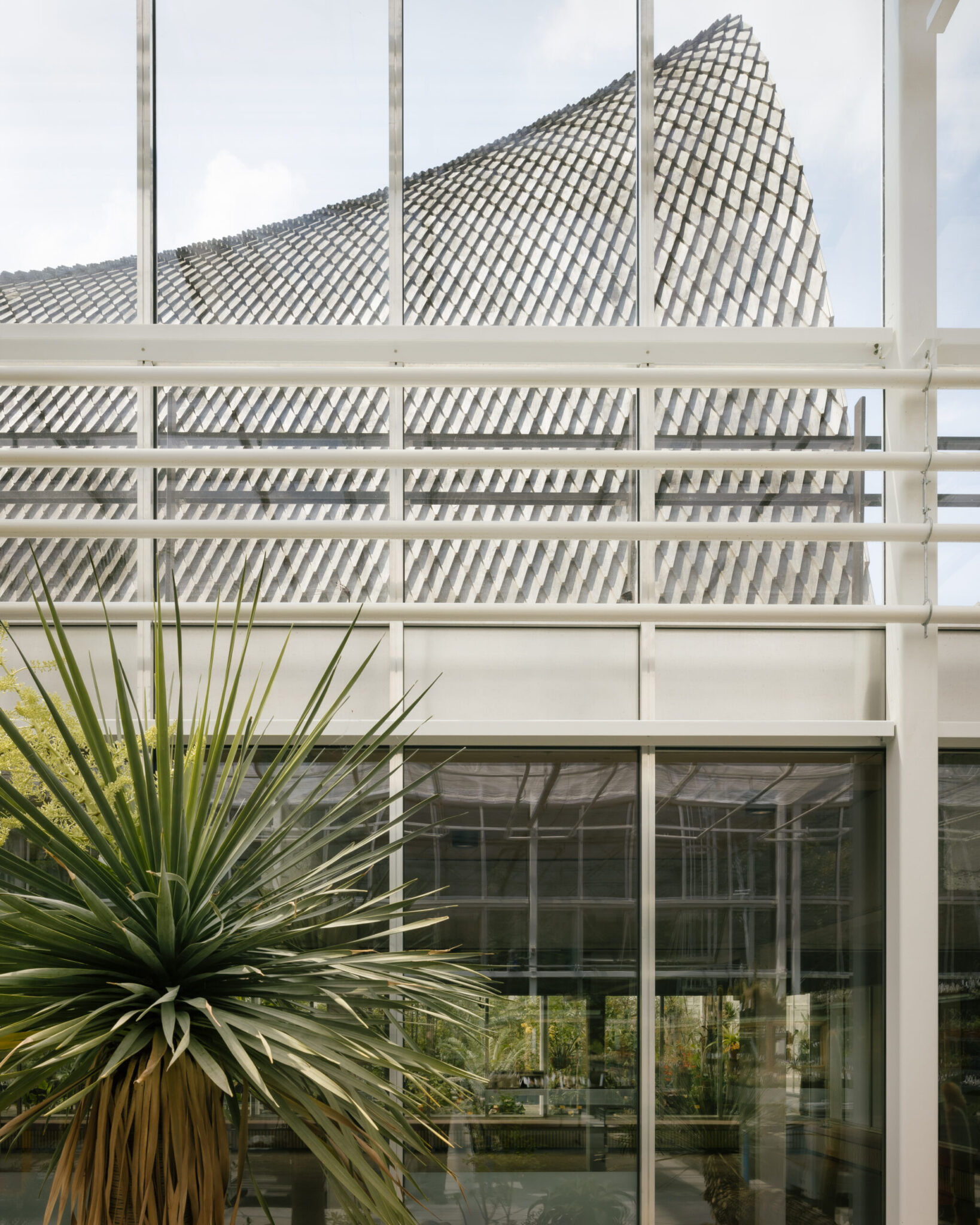 NU – Archipelago, The Green Ark - A+ Architecture in Belgium - A+ ...