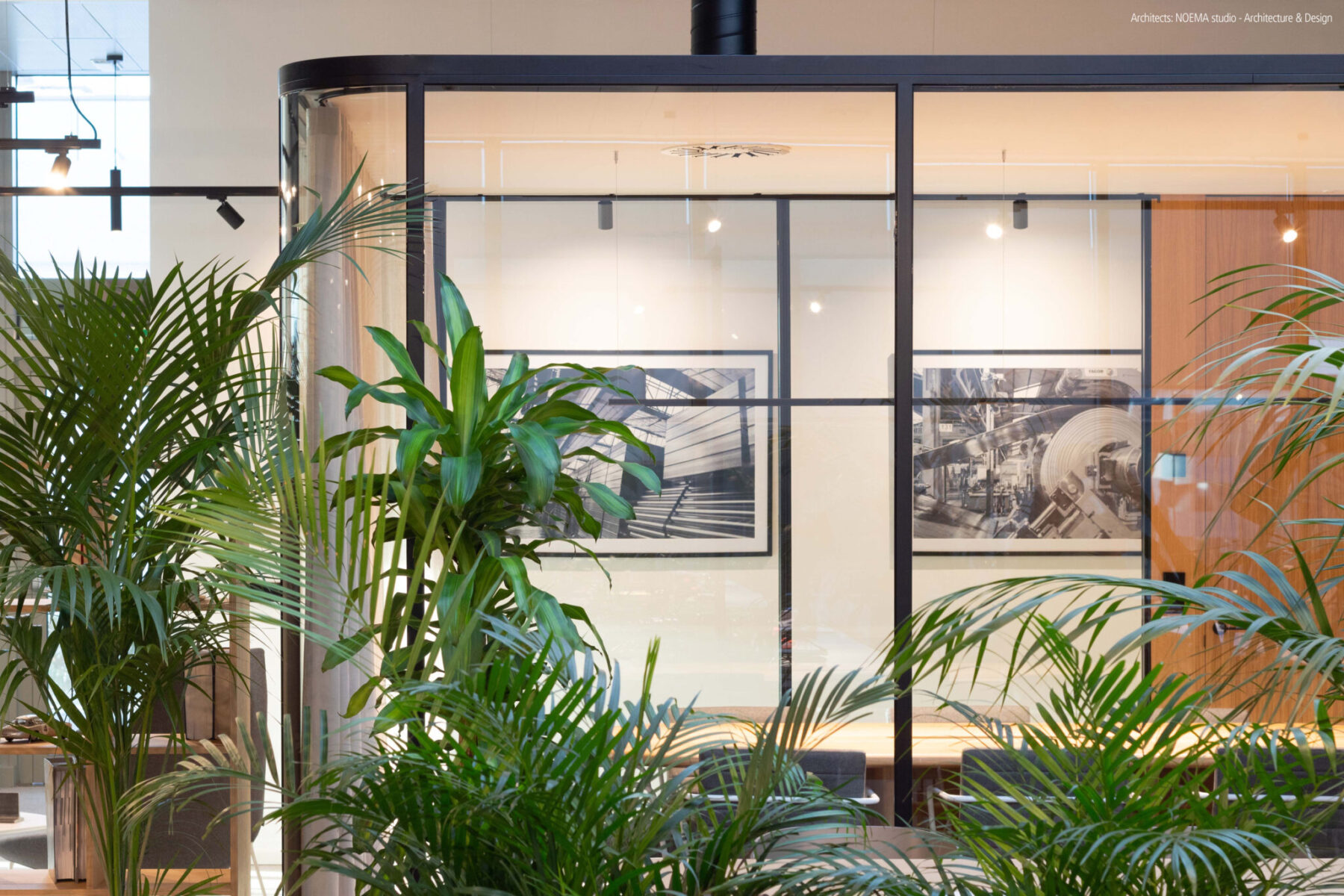 Forster brings together architectural steel solutions that combine ...